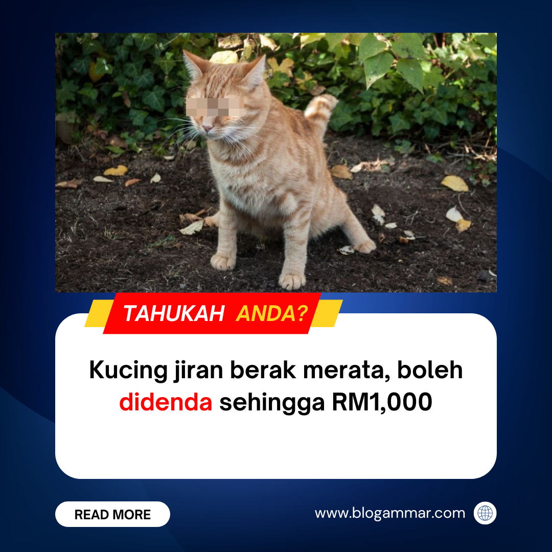 Kucing Jiran Berak Merata, Boleh Didenda Sehingga RM1,000